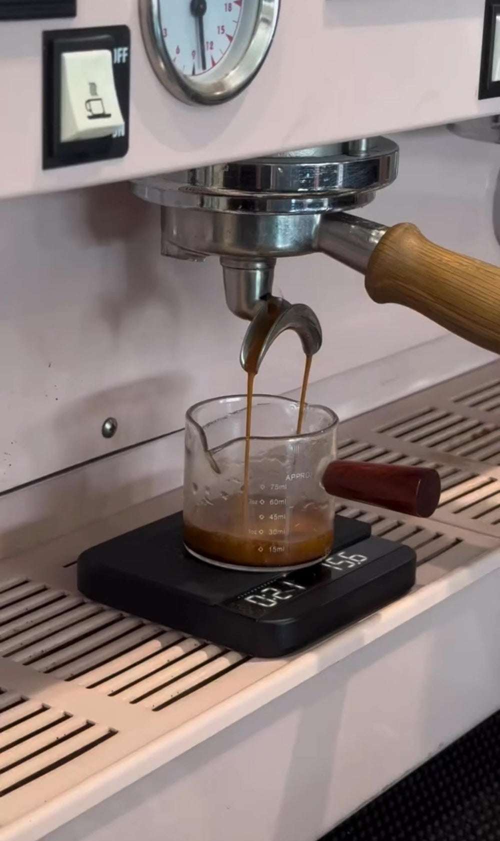 Bellas + Bread + Butter